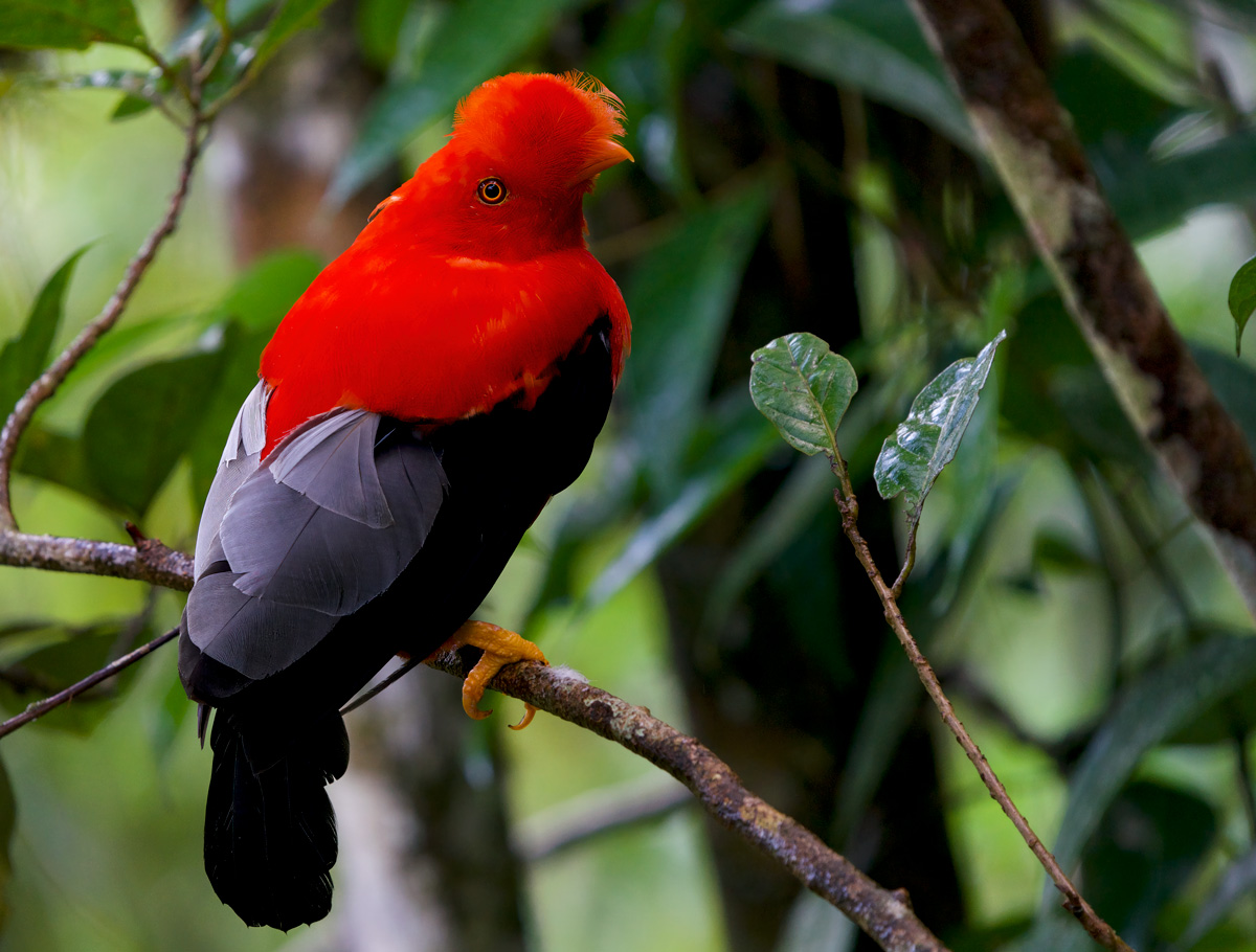 El Color de los Andes – Wagner Expeditions