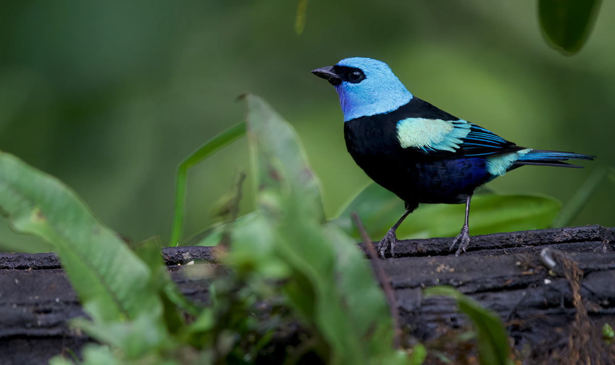 El Color de los Andes – Wagner Expeditions